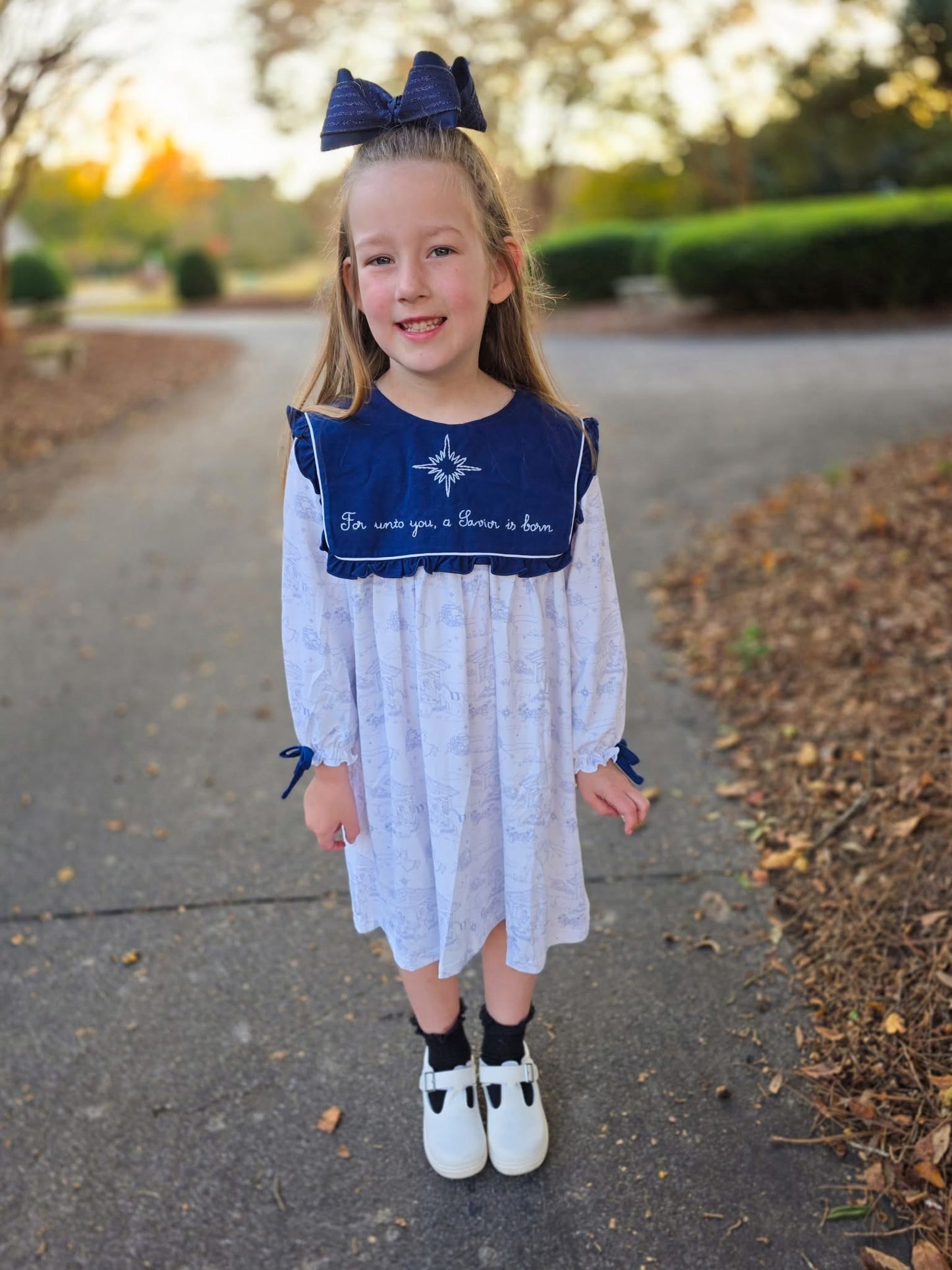 RTS A Savior is Born Girl Dress – Gracious Bear Smocks